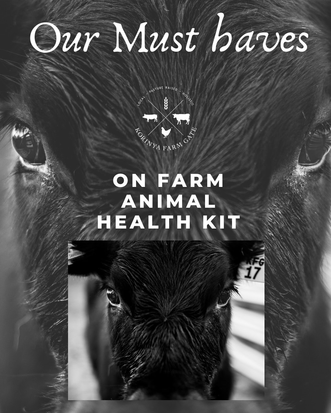Animal health KIT - Korinya Farm Gate